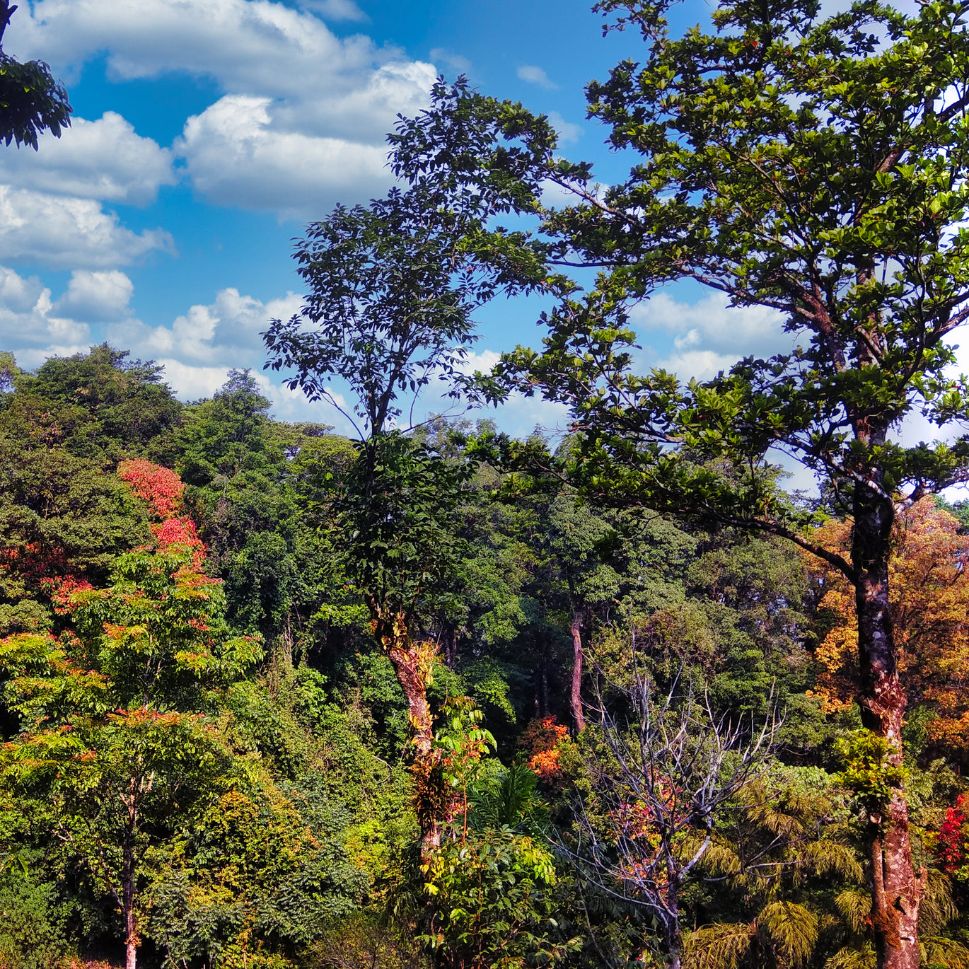 Forest Friendly Produce – bewildproduce